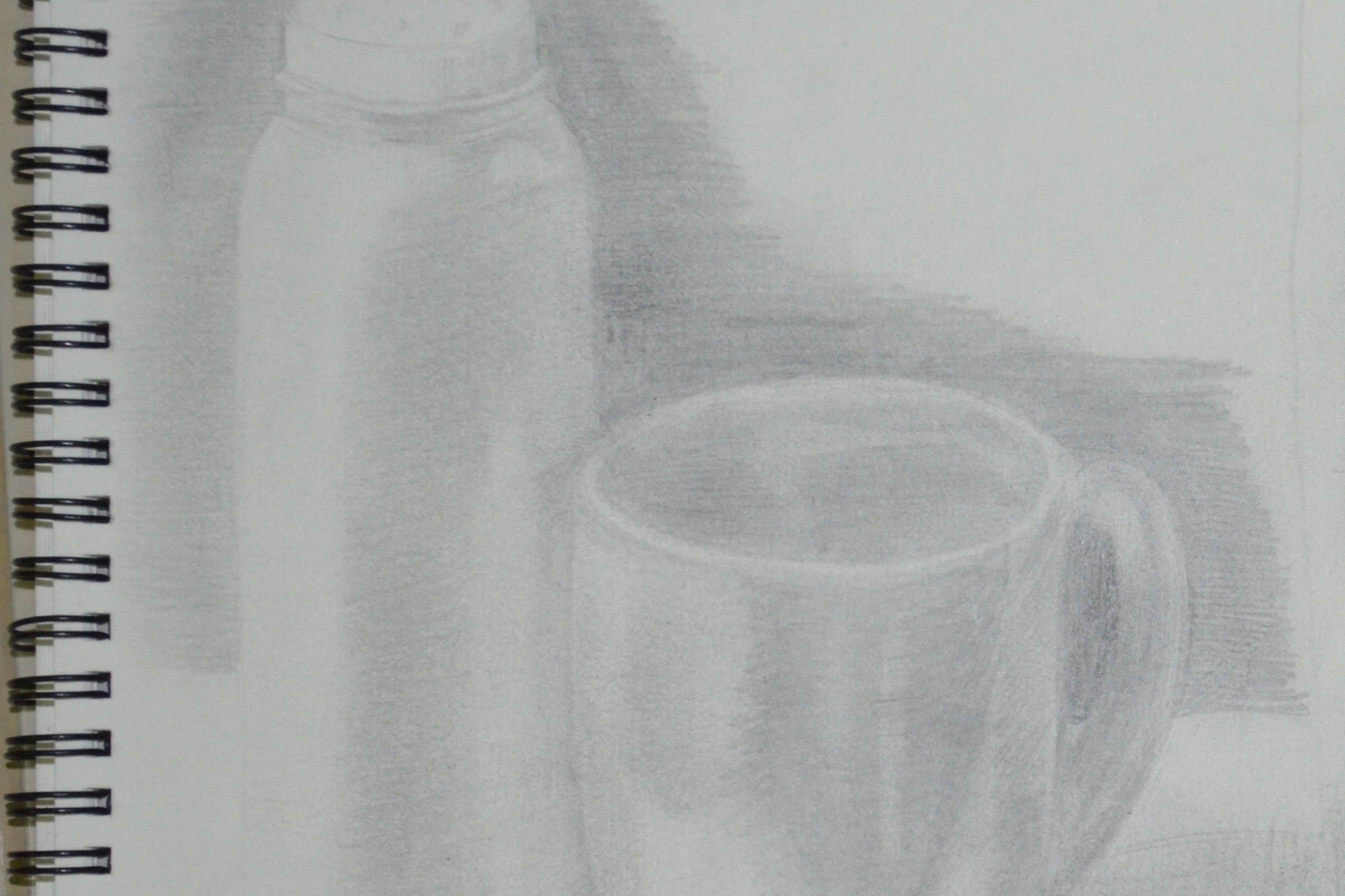 3 Tone and Form – My Drawing Course