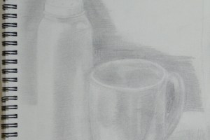 3 Tone and Form – My Drawing Course