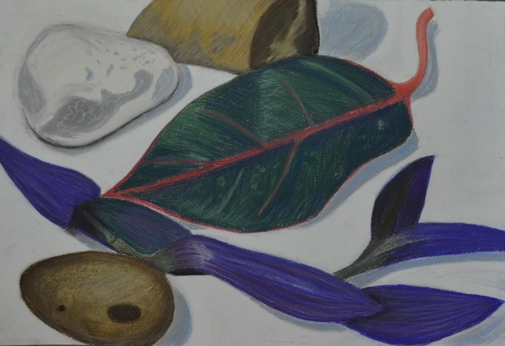 Assignment 1 – Natural Forms – My Drawing Course