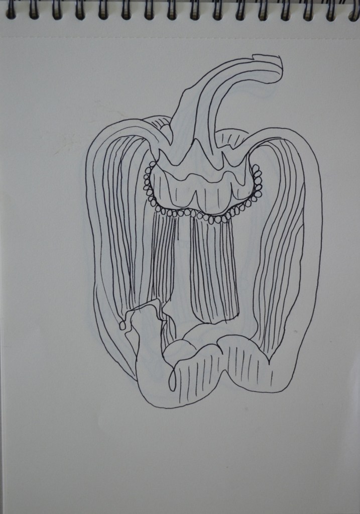 Line Drawing Detail – My Drawing Course