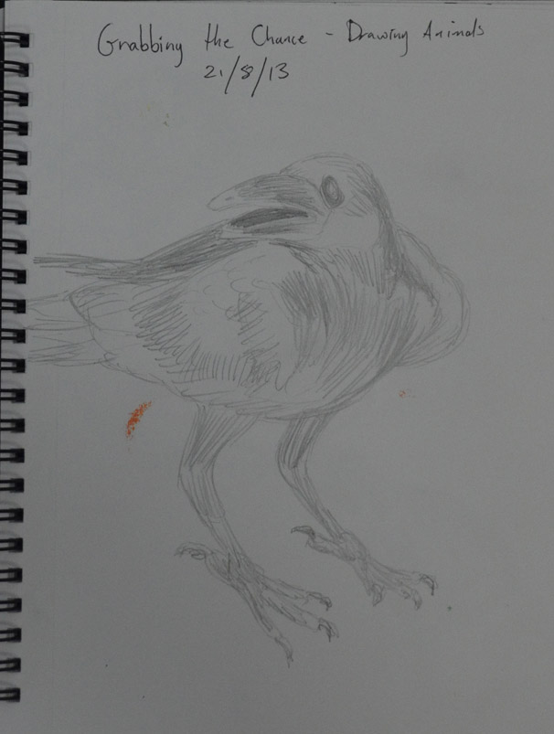 6 Drawing Animals – My Drawing Course