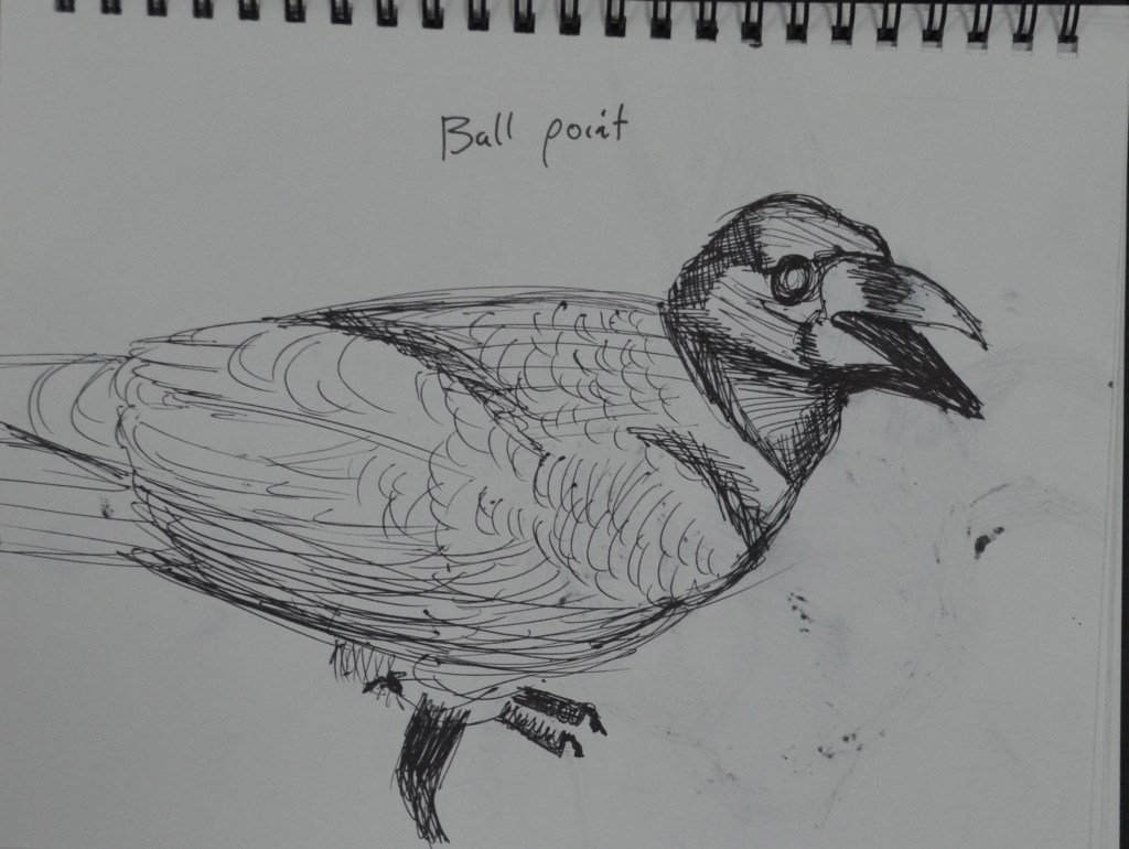 6 Drawing Animals – My Drawing Course