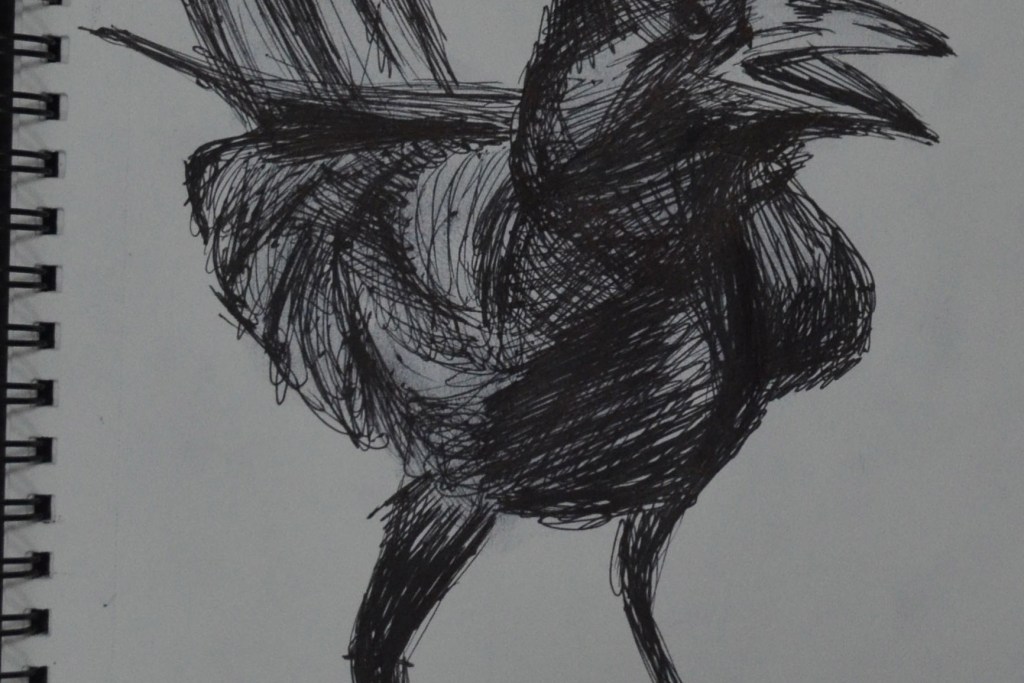 6 Drawing Animals – My Drawing Course