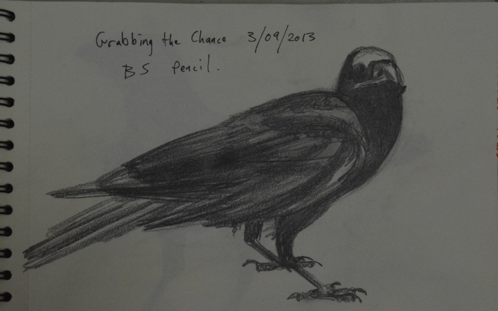 6 Drawing Animals – My Drawing Course