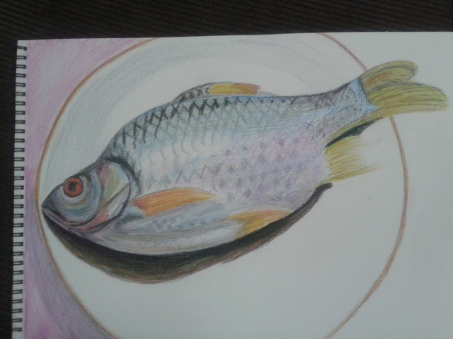 6 Drawing Animals – My Drawing Course