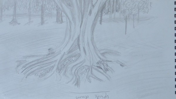 4 Drawing Trees – My Drawing Course
